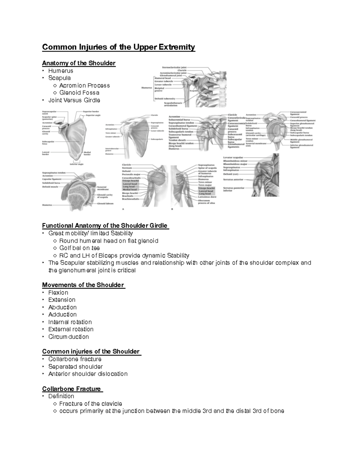 Common Injuries of the Upper Extremity - Tolerated without pain and ...