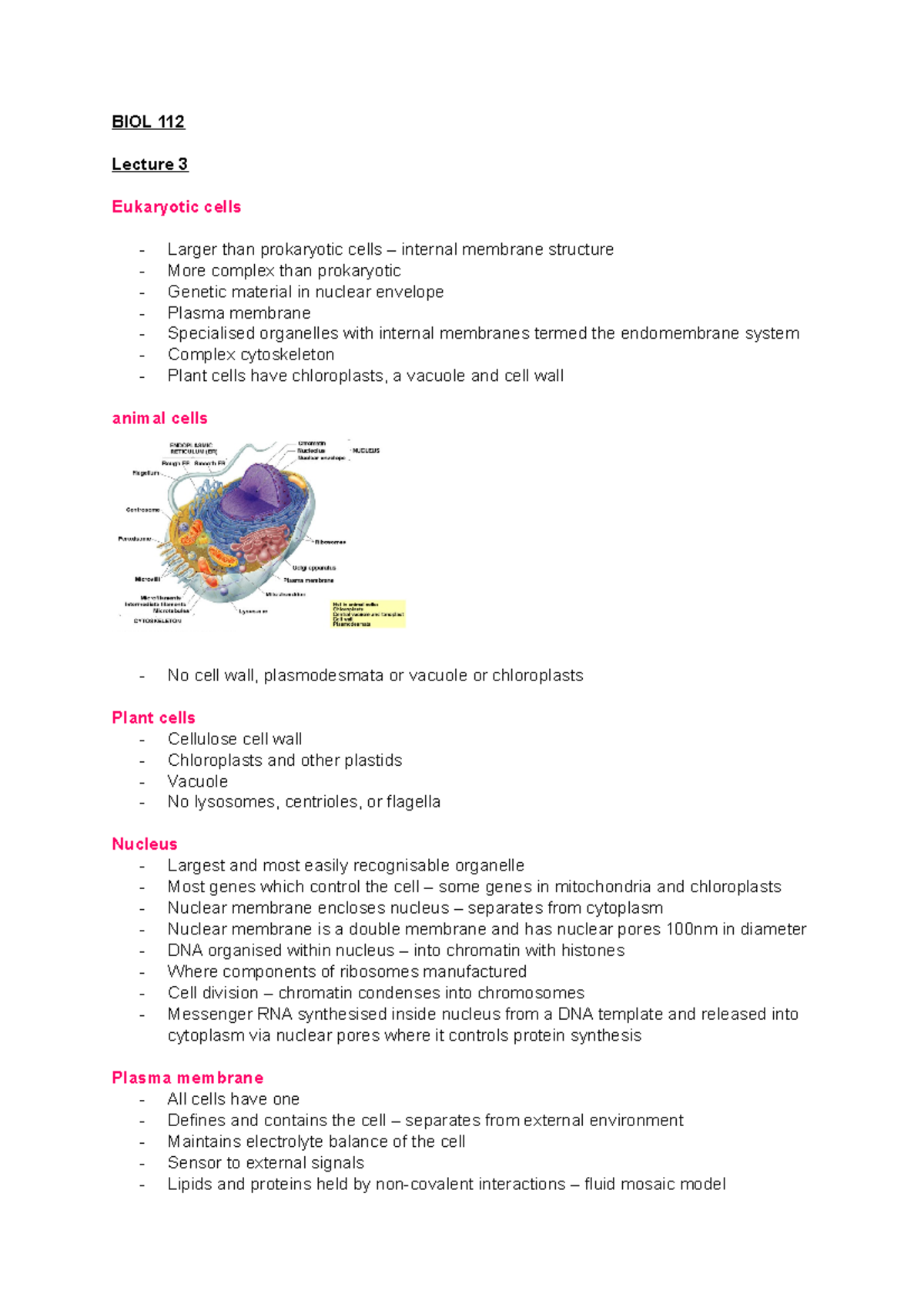 Lecture 3 - BIOL 112 Lecture 3 Eukaryotic cells Larger than prokaryotic ...