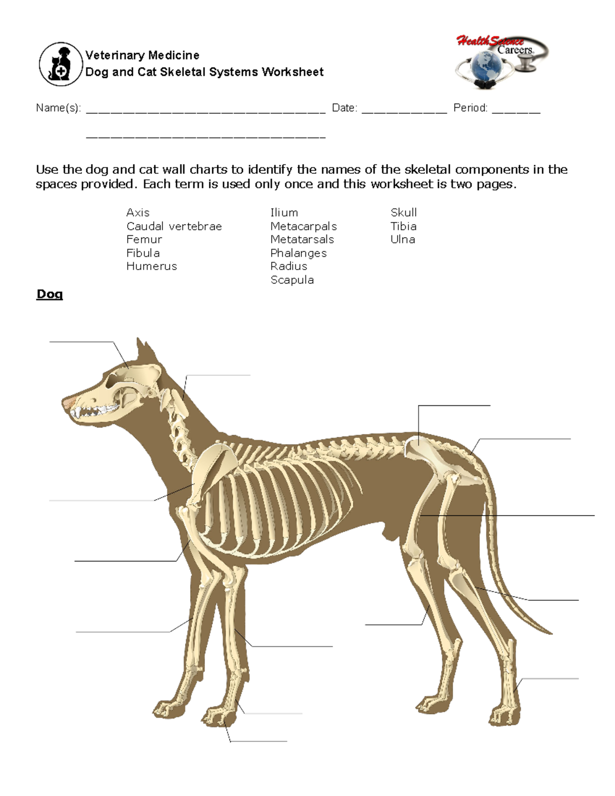Vet Med Worksheet Activity 4 V2 - Name(s ...