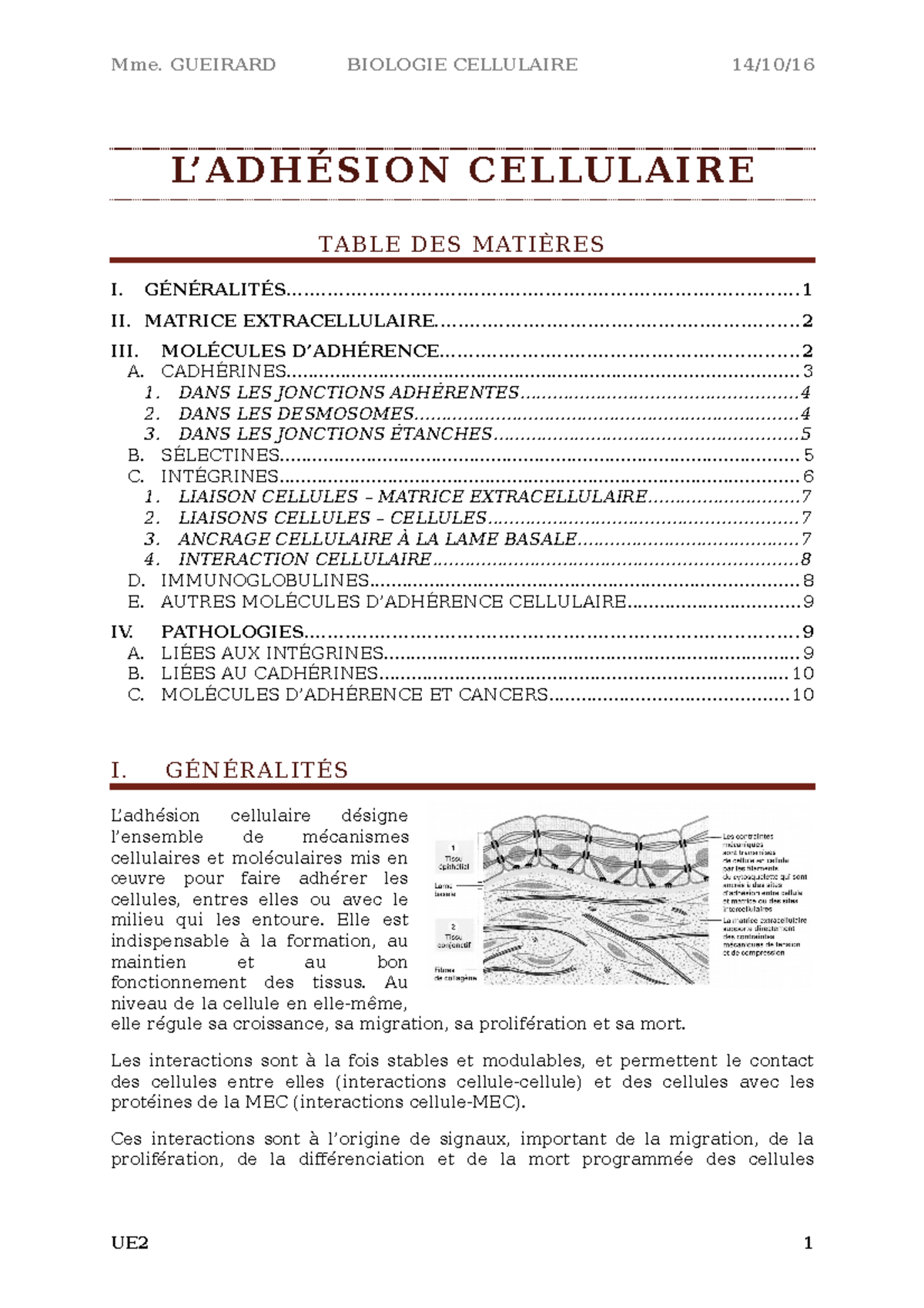 L'ADHÉSION CELLULAIRE - L’ADHÉSION CELLULAIRE TABLE DES MATIÈRES I ...