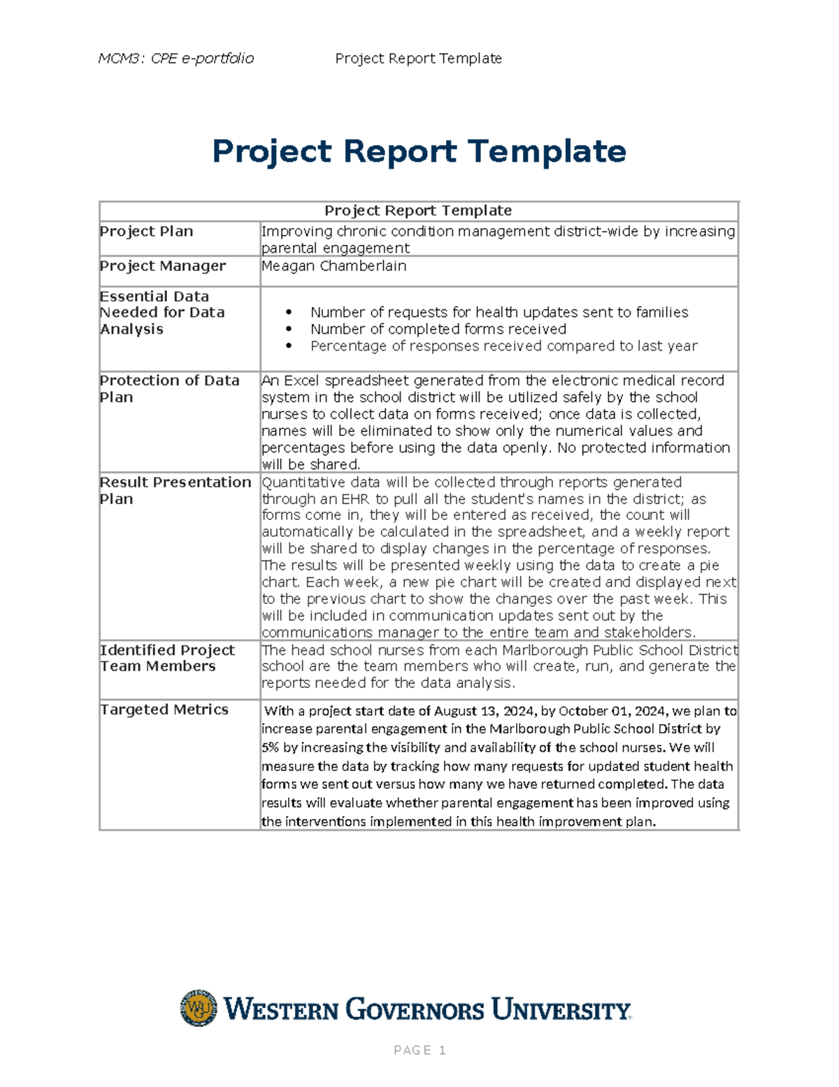 Project Report Template - MCM3: CPE e-portfolio Project Report Template ...