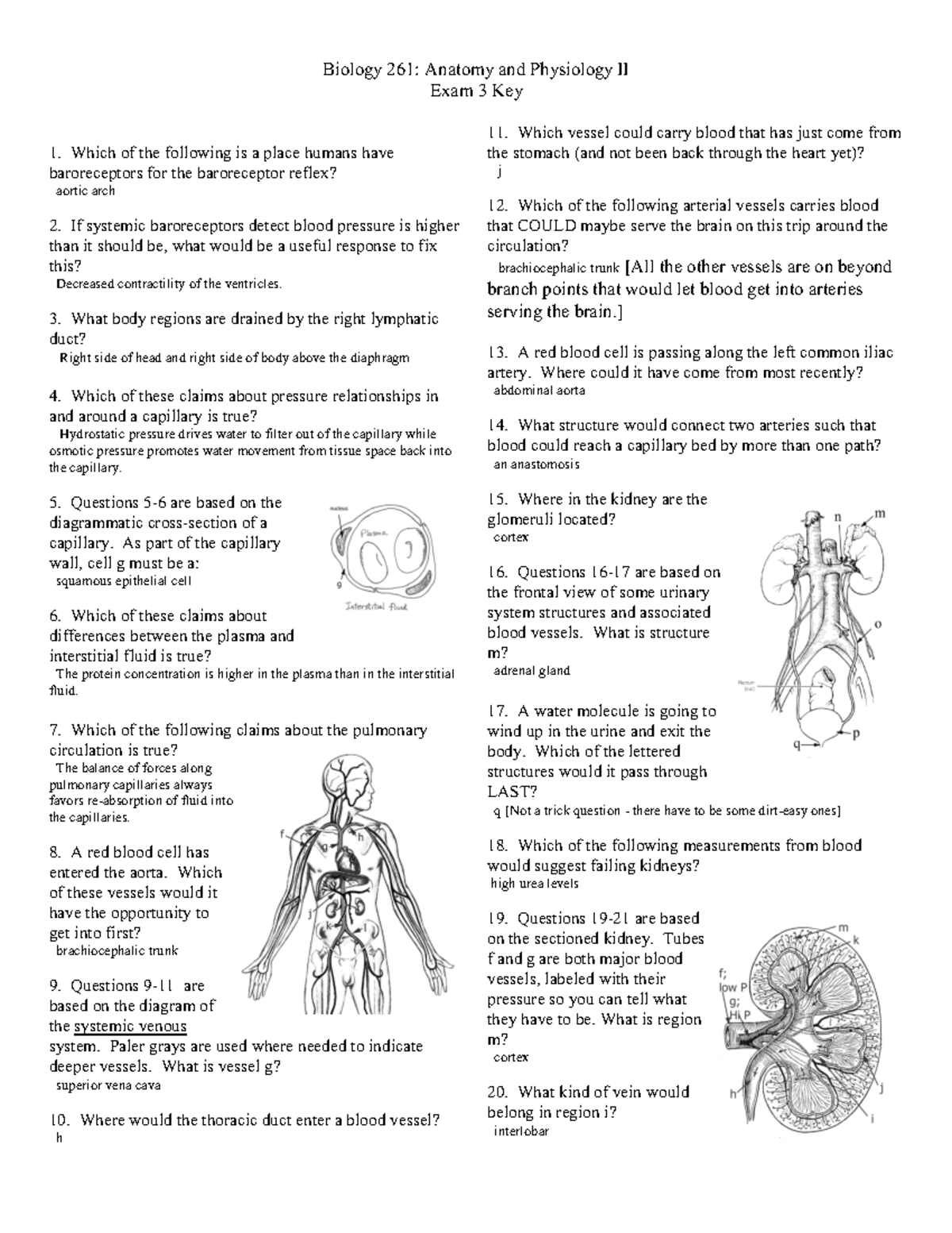 Exam 3 - Exam key part 2 - Biology 261: Anatomy and Physiology II Exam ...