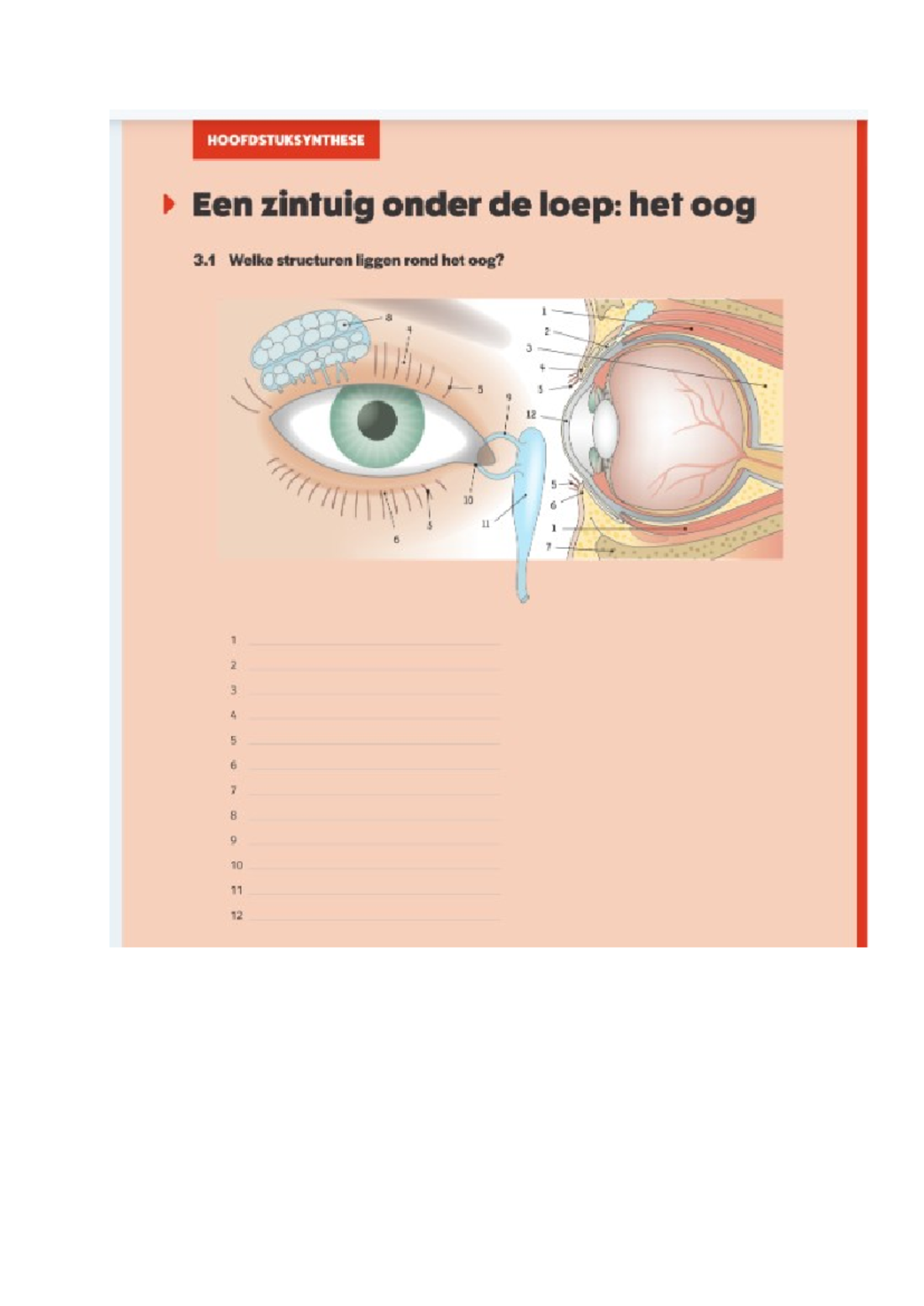 Bio examen oog - blaadjes uit boek - Biologie - Studocu