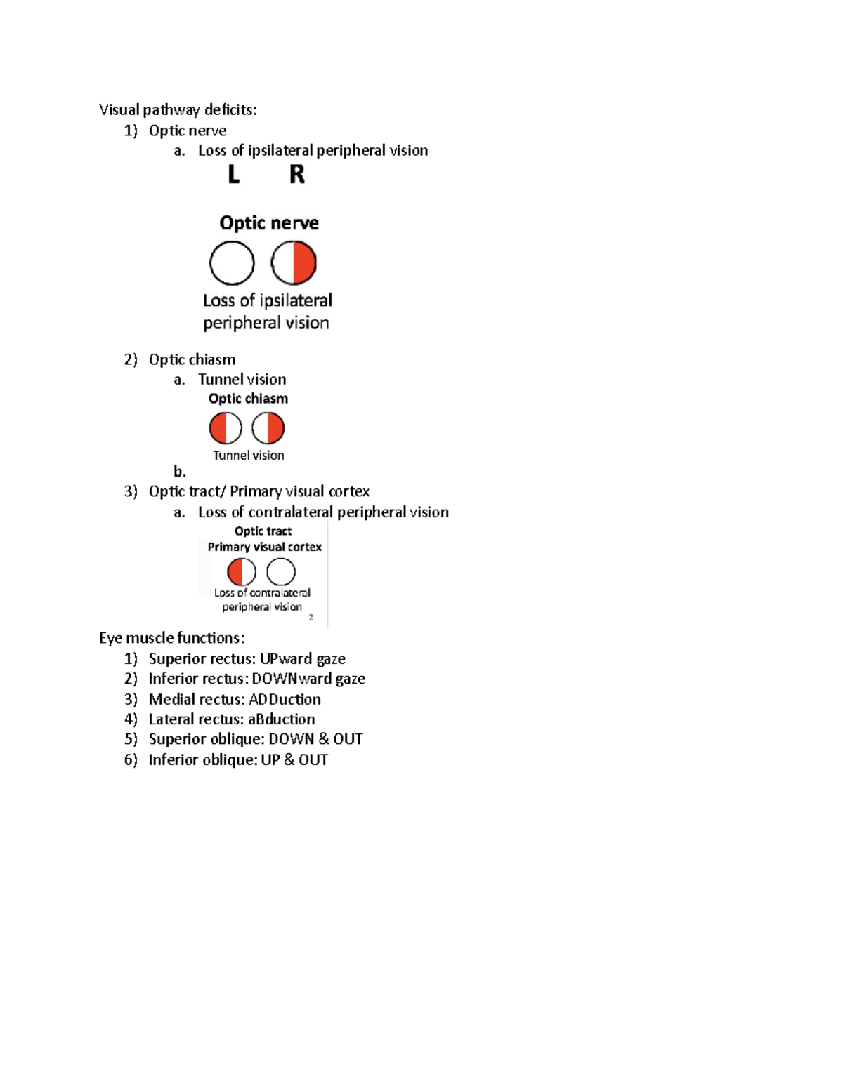 Eye movement & vision - notes - Visual pathway deficits: 1) Optic nerve ...