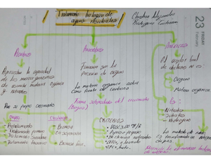 10 datos sobre RAFA y FAFA - Tratamiento De Efluentes - Studocu