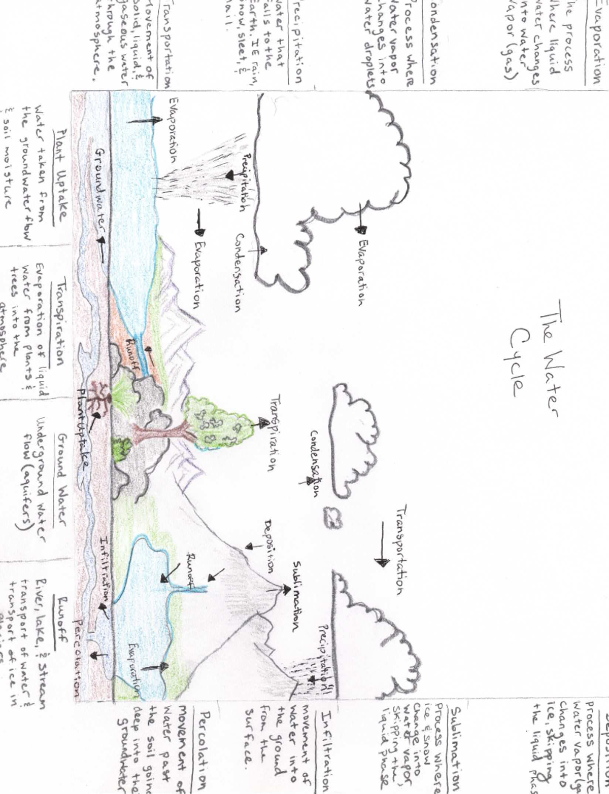 Water Cycle - SCIN 100 - Studocu