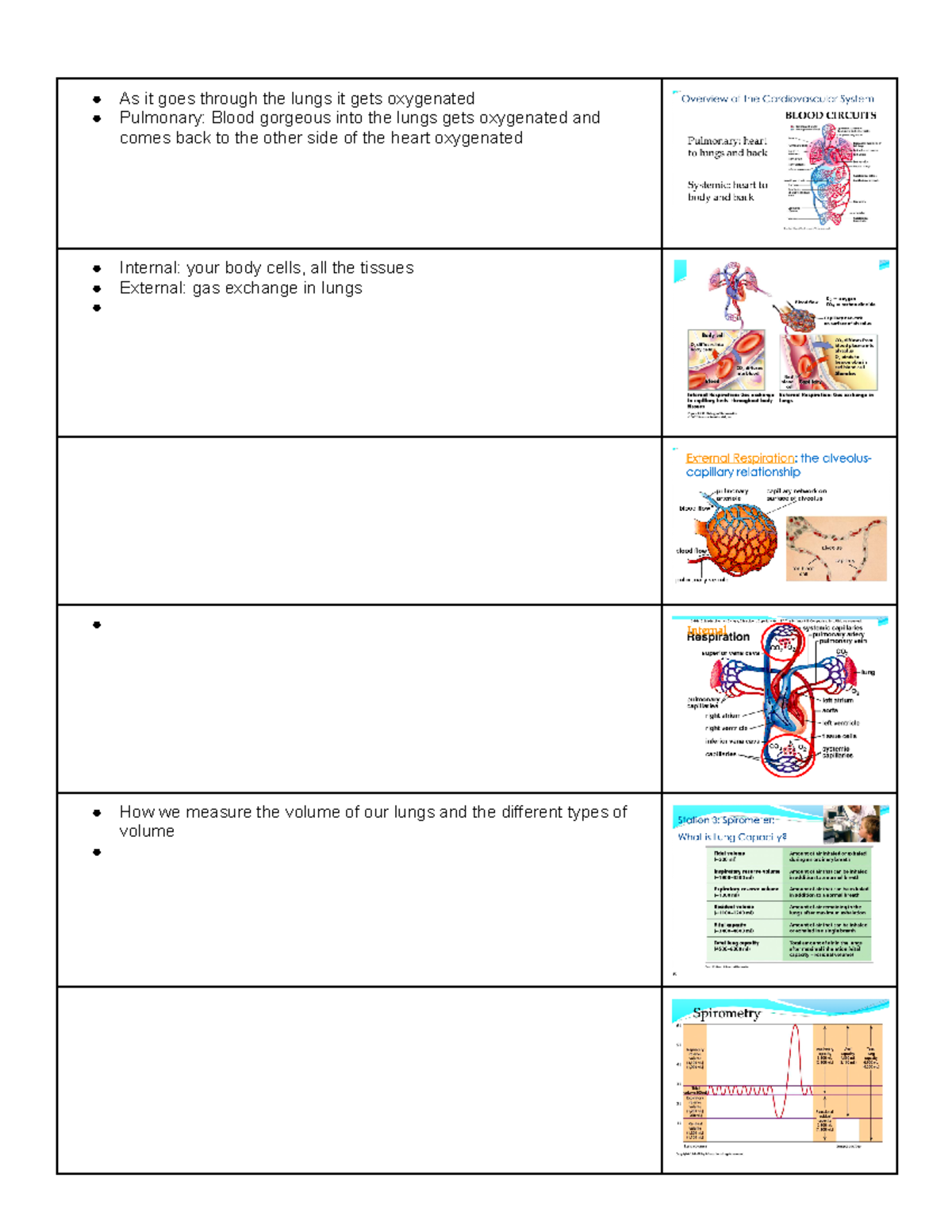 Bio Chp 10 Respiratory System (Oct 19) - As it goes through the lungs ...