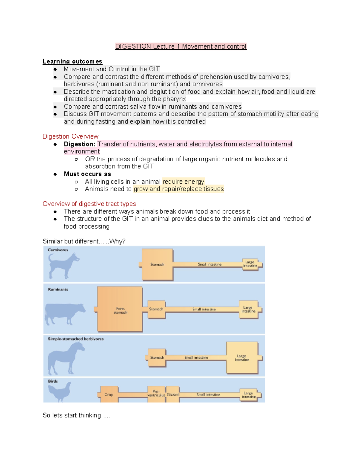 Digestive system qz1 notes part 3 - DIGESTION Lecture 1 Movement and ...