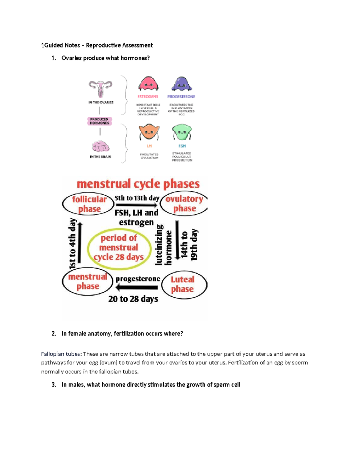 Reproductive Guided Notes - 1Guided Notes – Reproductive Assessment 1 ...