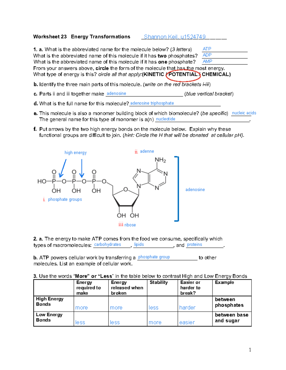 WS 23 DISC (energy) - edited - Worksheet 23 Energy Transformations