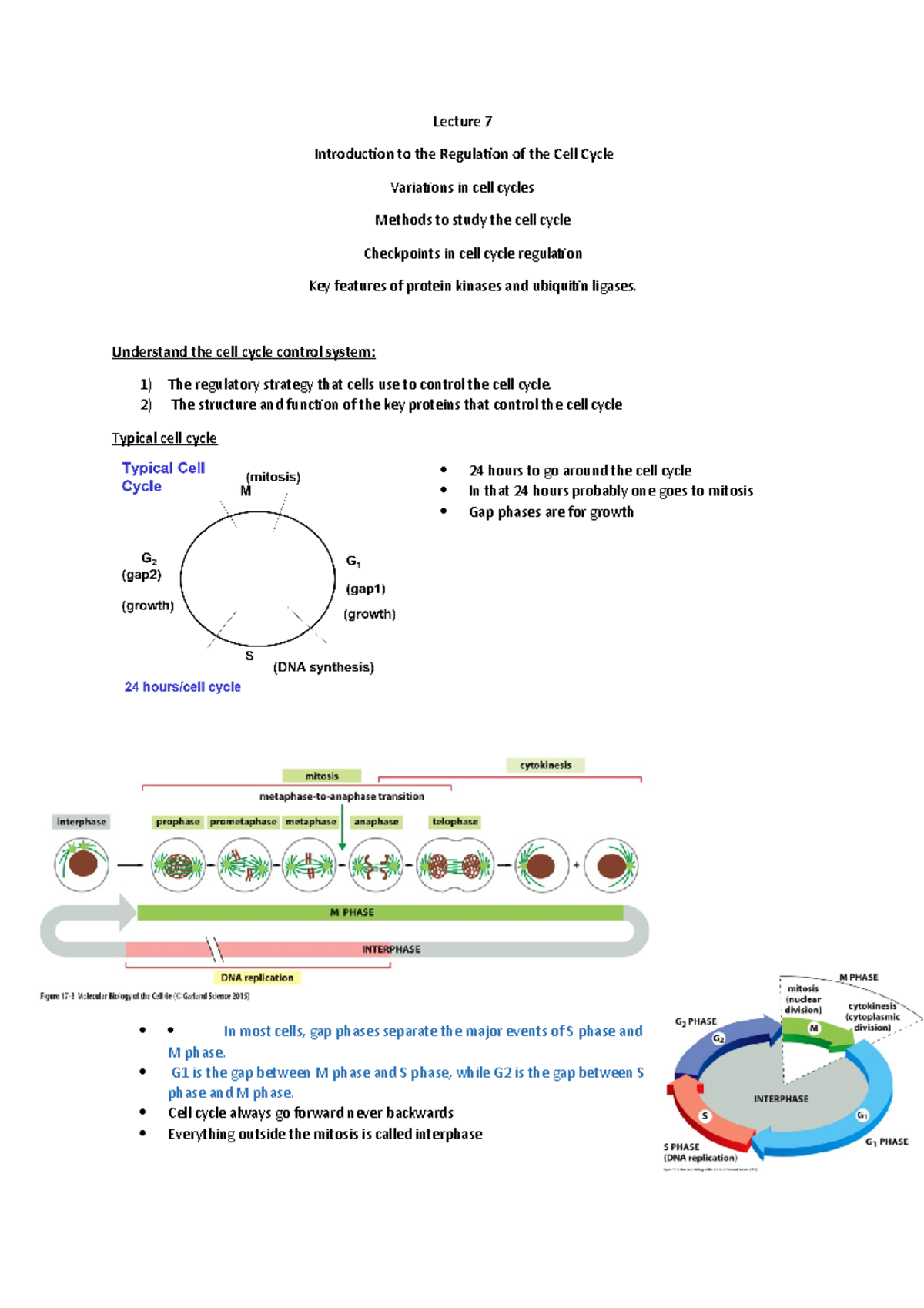 Lecture 7 of cell biology - Lecture 7 Introduction to the Regulation of ...