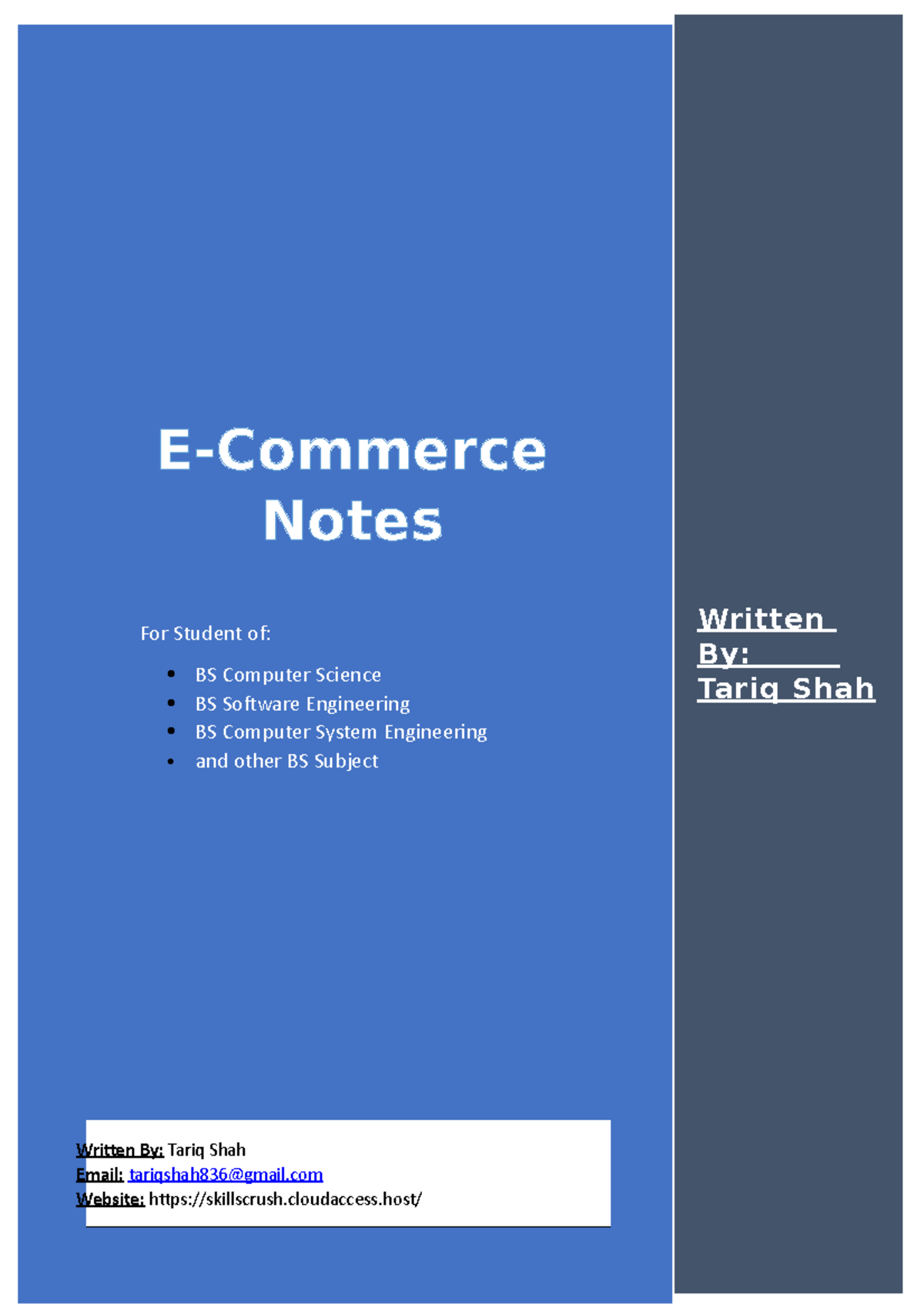 Electronic Commerce Notes for BS Computer Science - Ecommerce - AWKUM ...