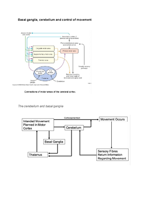 Introduction to Neurodevelopment - Introducion to Neurodevelopment ...