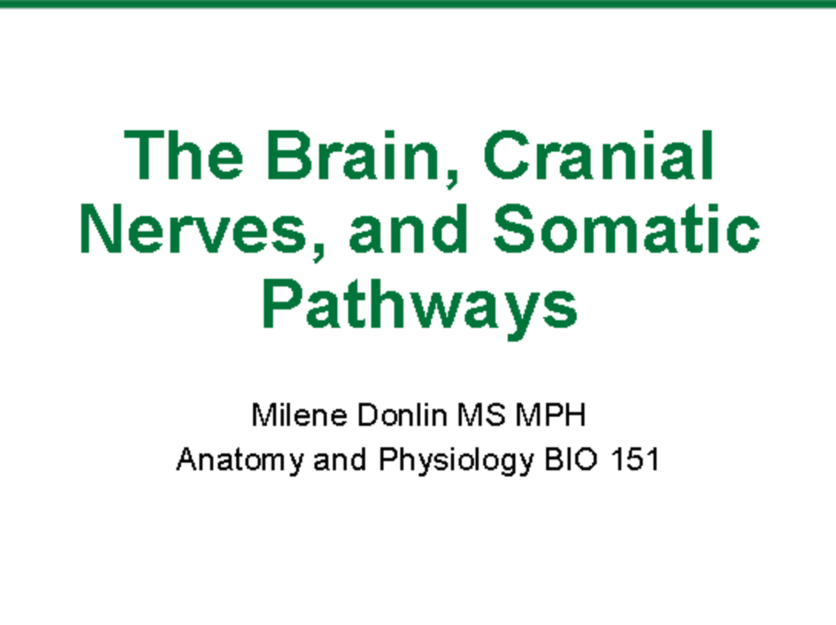 Chapter 13 Brain Cranial Nerves and Somatic Pathways (SP 22) - The ...