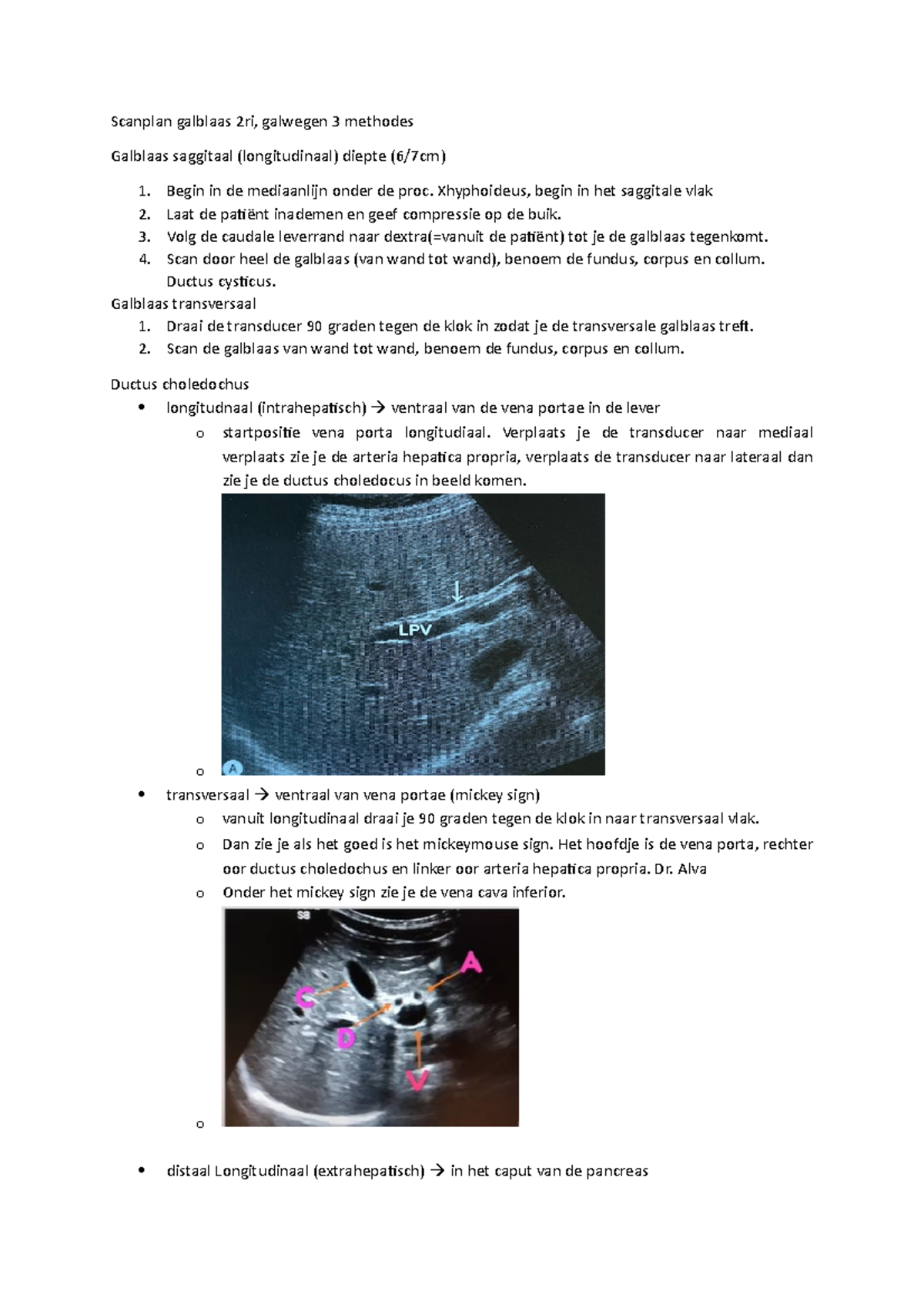Scanplan echo praktijk assessment Galblaas/galwegen Jaar 1 P4 ...