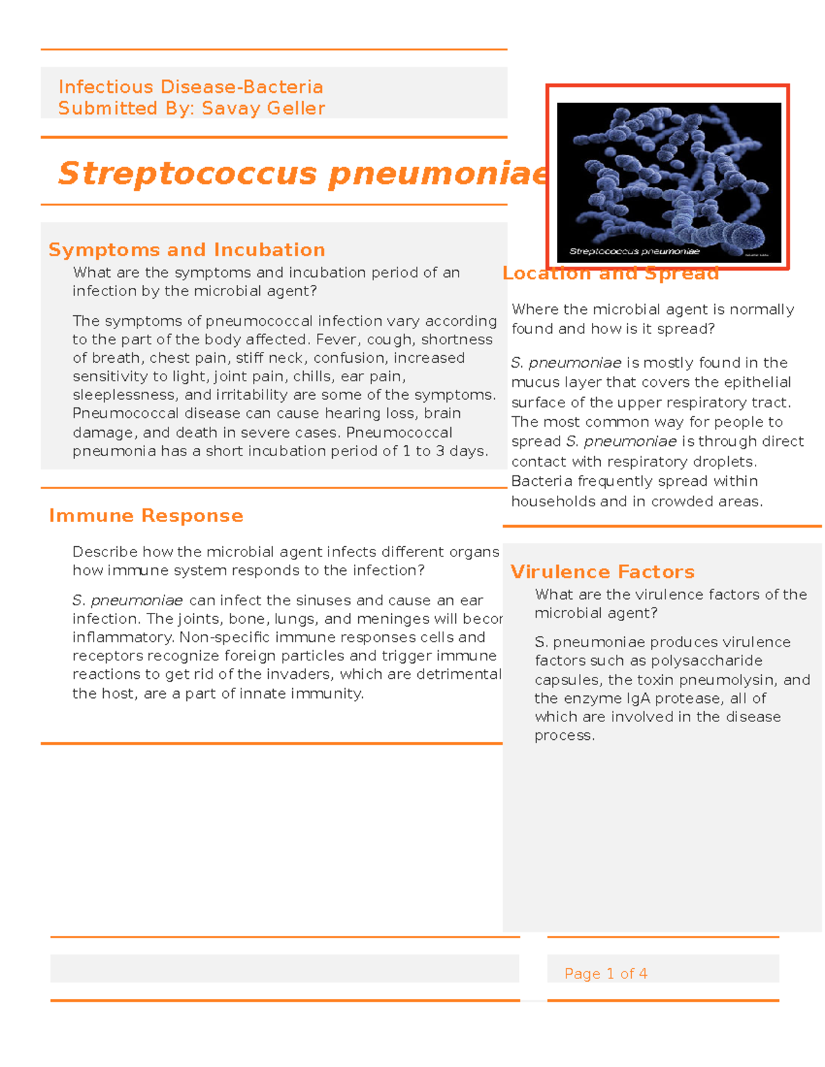 Assignment Streptococcus pneumoniae - Infectious Disease-Bacteria ...