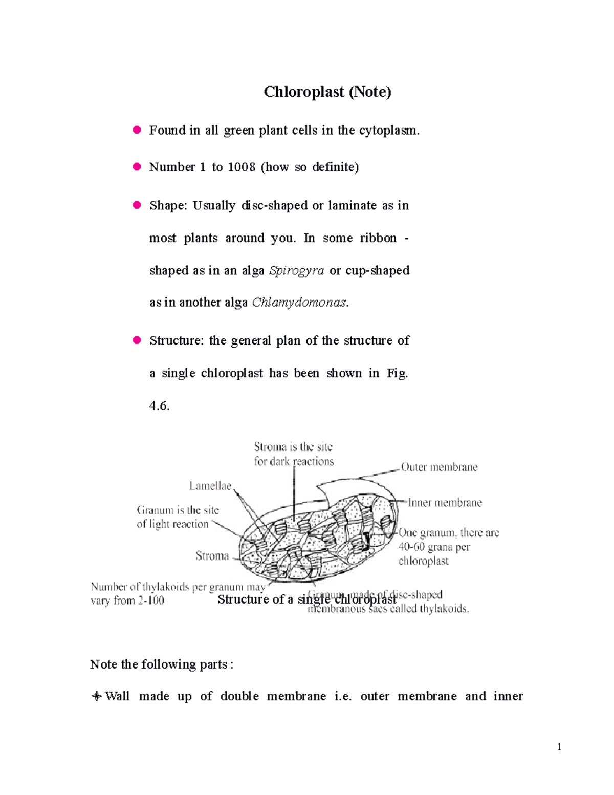 Chloroplast - Number 1 to 1008 (how so definite) Shape: Usually disc ...