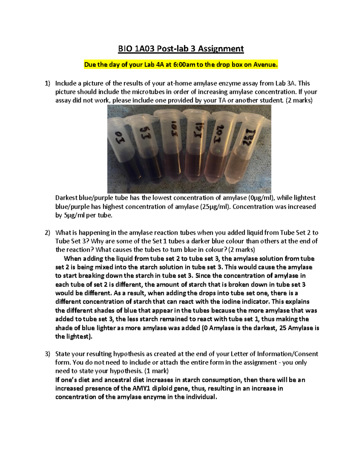 Biology 1A03 Post-lab 3 Assignment: Analyzing the effect of Amylase Enzyme - Bio 1A03 - Studocu