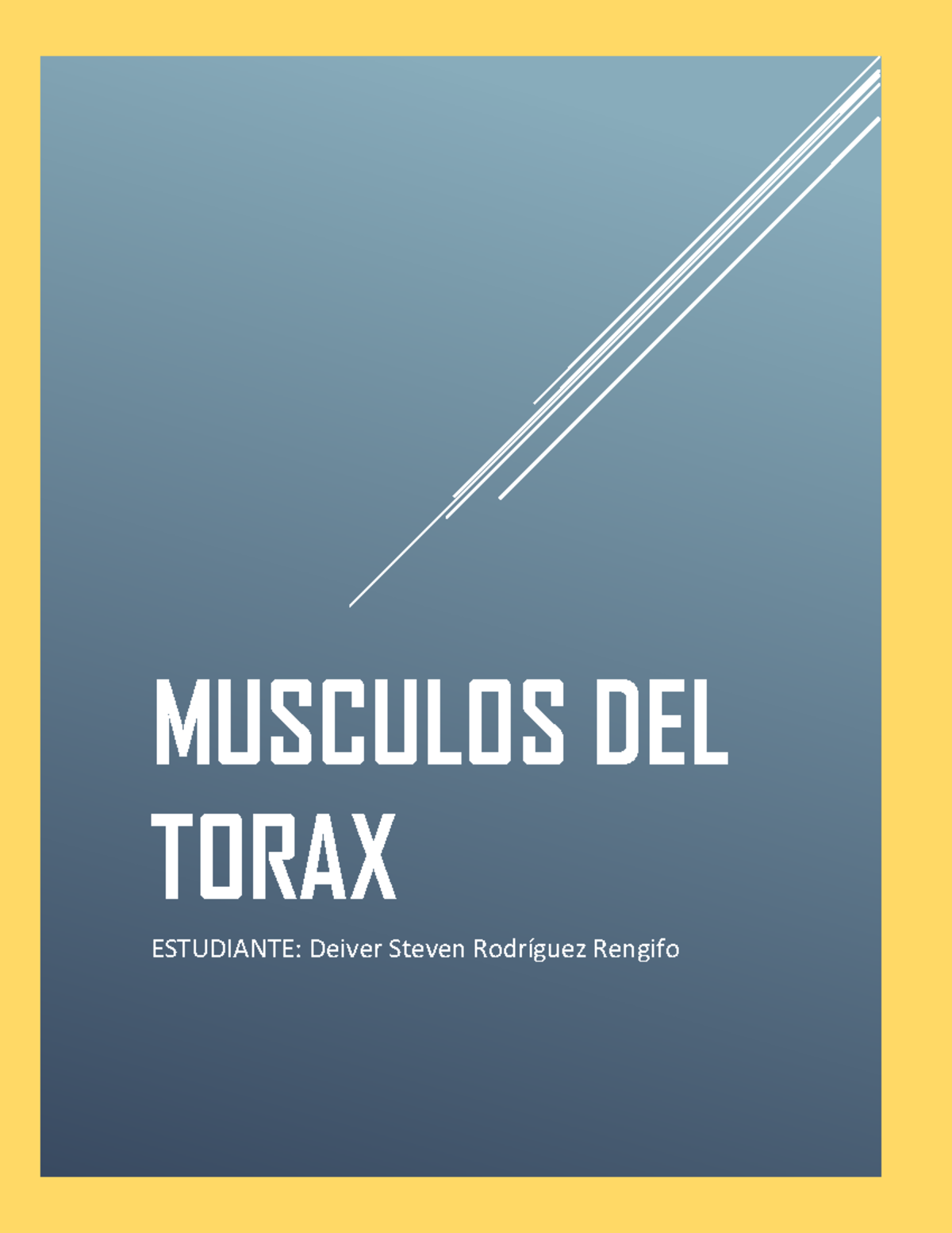 Torax - nnn - MUSCULOS DEL TORAX ESTUDIANTE: Deiver Steven Rodríguez ...