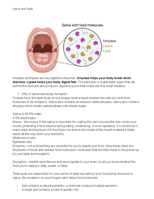 Task 1 - notes from task 1 taste - How taste relates to the brain? The ...