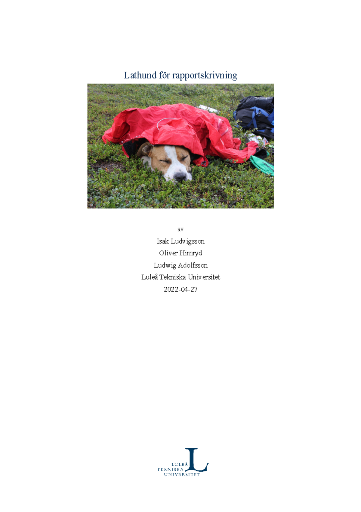 Labbrapport - Lathund för rapportskrivning av Isak Ludvigsson Oliver ...