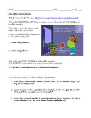 Color Handout for Kingdoms of Life Webquest - Kingdoms of Life Webquest ...