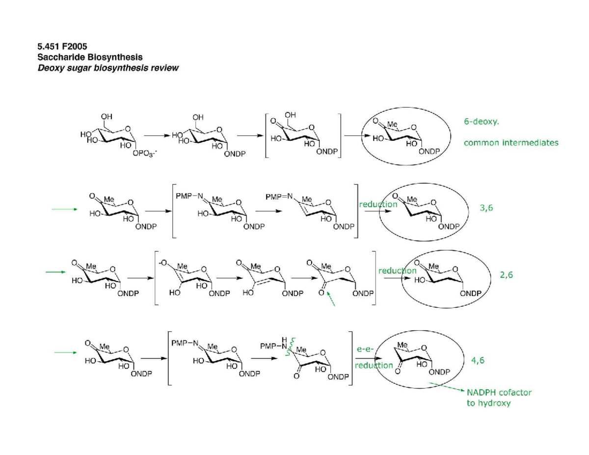 Biomolecules:shikimate pathway - Inorganic Chemistry II - UoK - Studocu