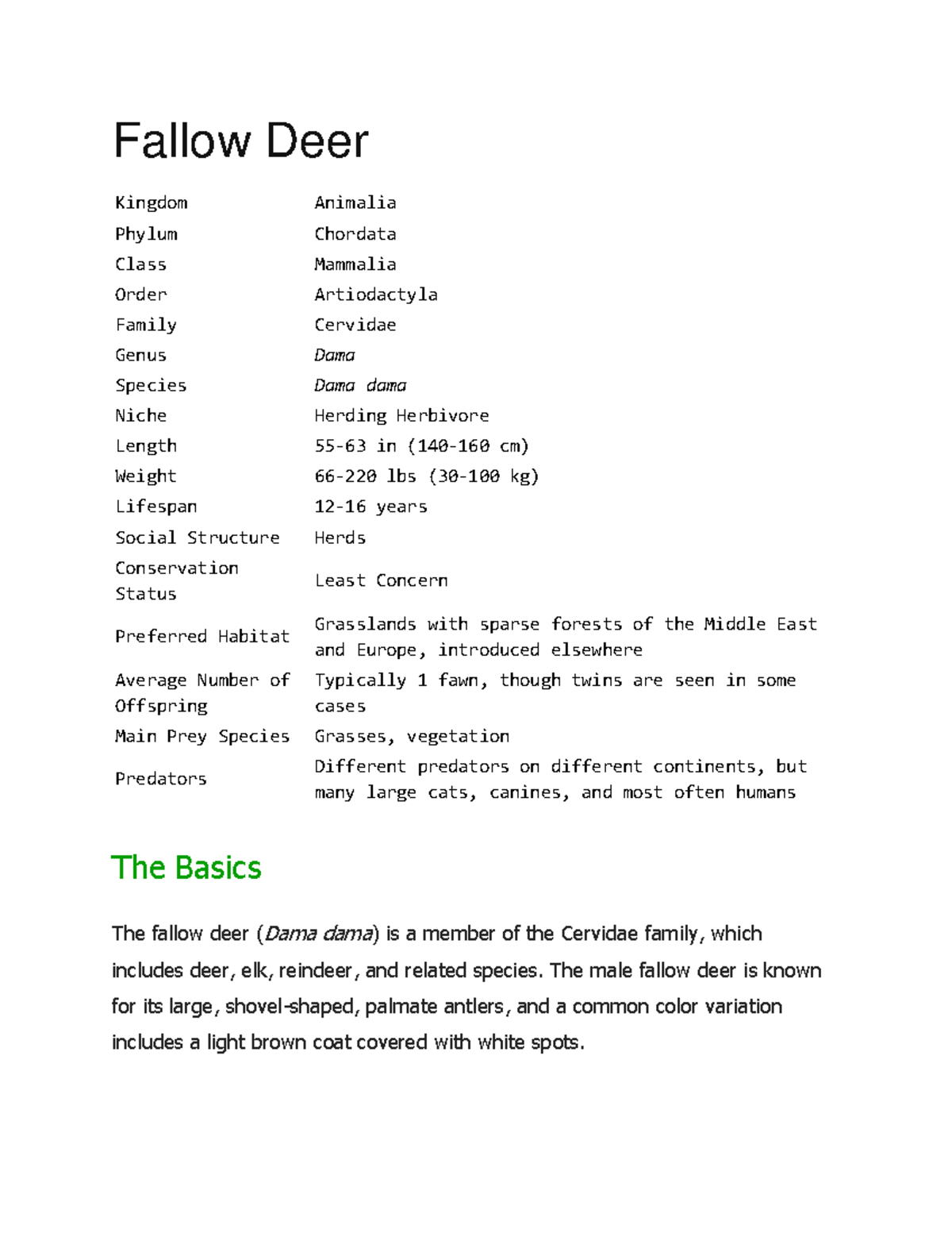 Fallow Deer - Fallow Deer Kingdom Animalia Phylum Chordata Class ...