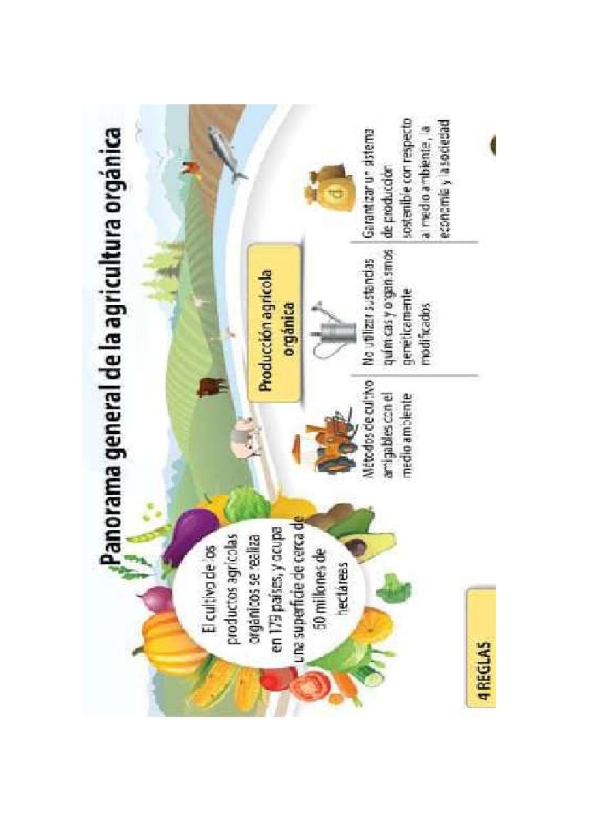 Sshsh - imagen ciclo del agua - Panorama general de la agricultura ...