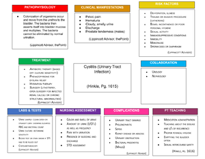 Joint Replacement Concept Map - PROCESS CLINICAL MANIFESTATIONS RISK ...