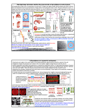 Beanium Isotope Lab- 3, Chemistry - Beanium Isotope LabA Introduction ...