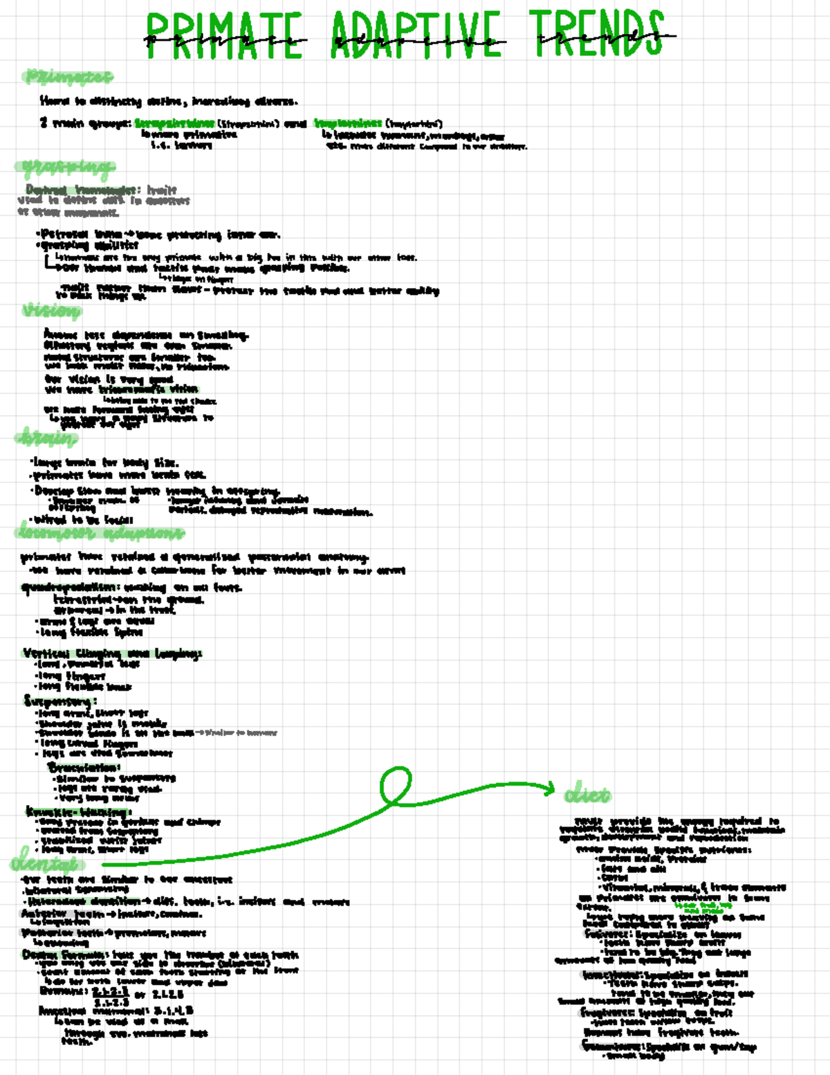 Primate adaptive trends - ³ MA At ¥- primate antiwar primates Hard to ...