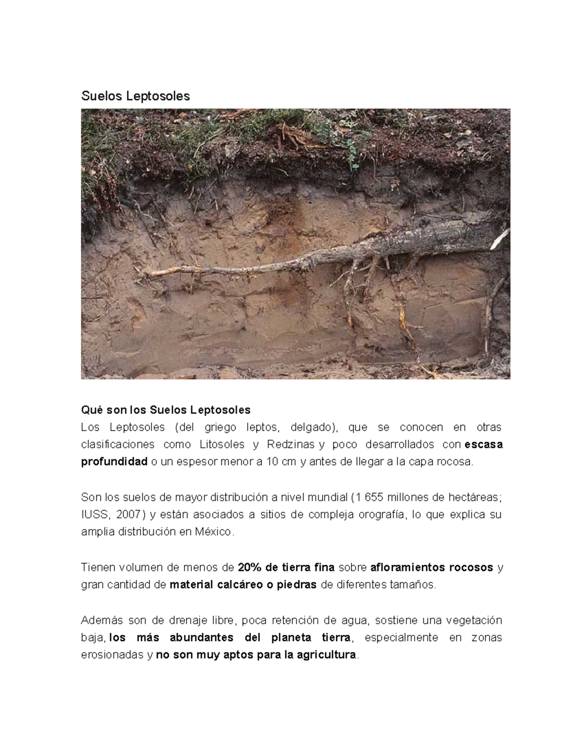 Tipos de suelo - Suelos Leptosoles Qué son los Suelos Leptosoles Los ...