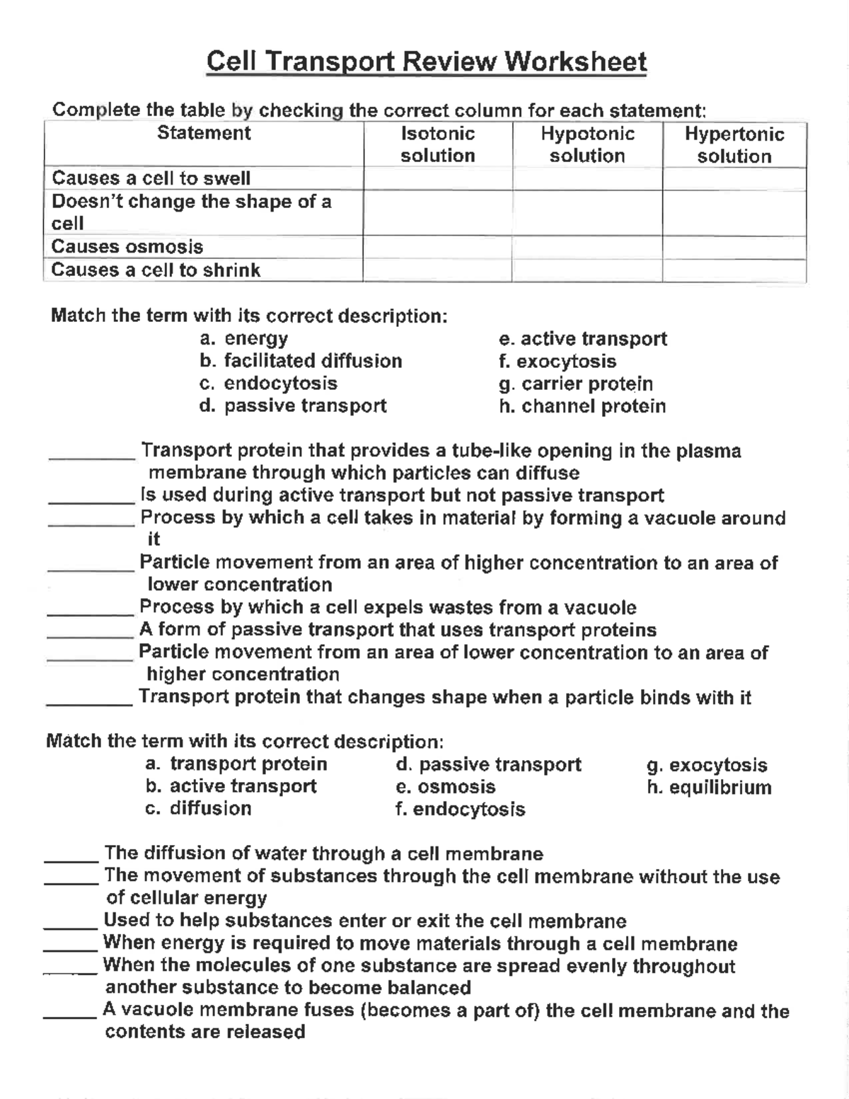 Cellular transport worksheet-1 - BS Accountancy - Studocu