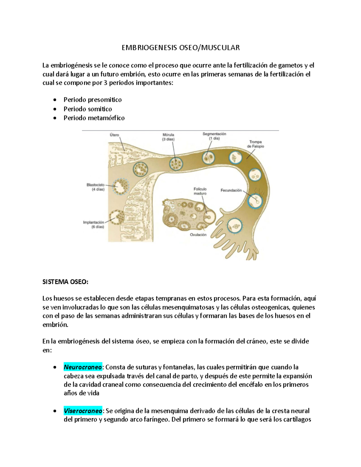 Embriogenesis OSEO - ..... - EMBRIOGENESIS OSEO/MUSCULAR La ...