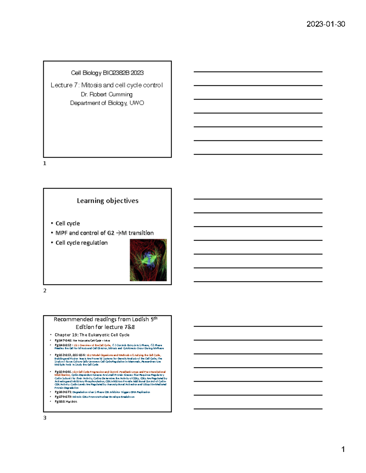 Lecture 7 Mitosis and cell cycle control 2023 - Compatibility Mode ...