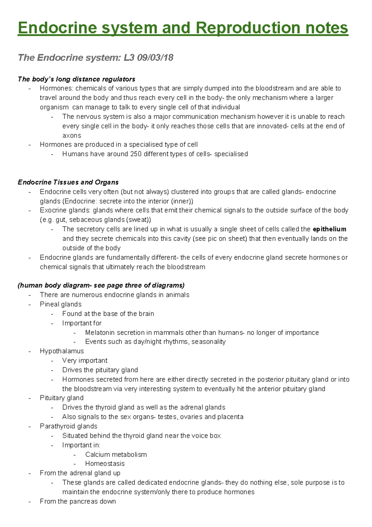 Endocrine system and Reproduction notes - gut, sebaceous glands (sweat ...