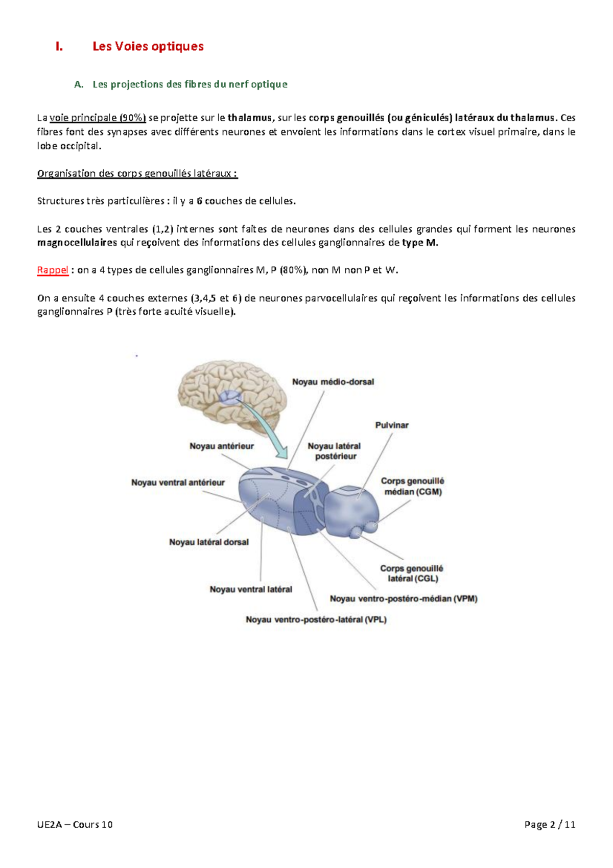 Ue2a Cours 10 Warning Tt Undefined Function 22 Warning Tt Undefined Function 22