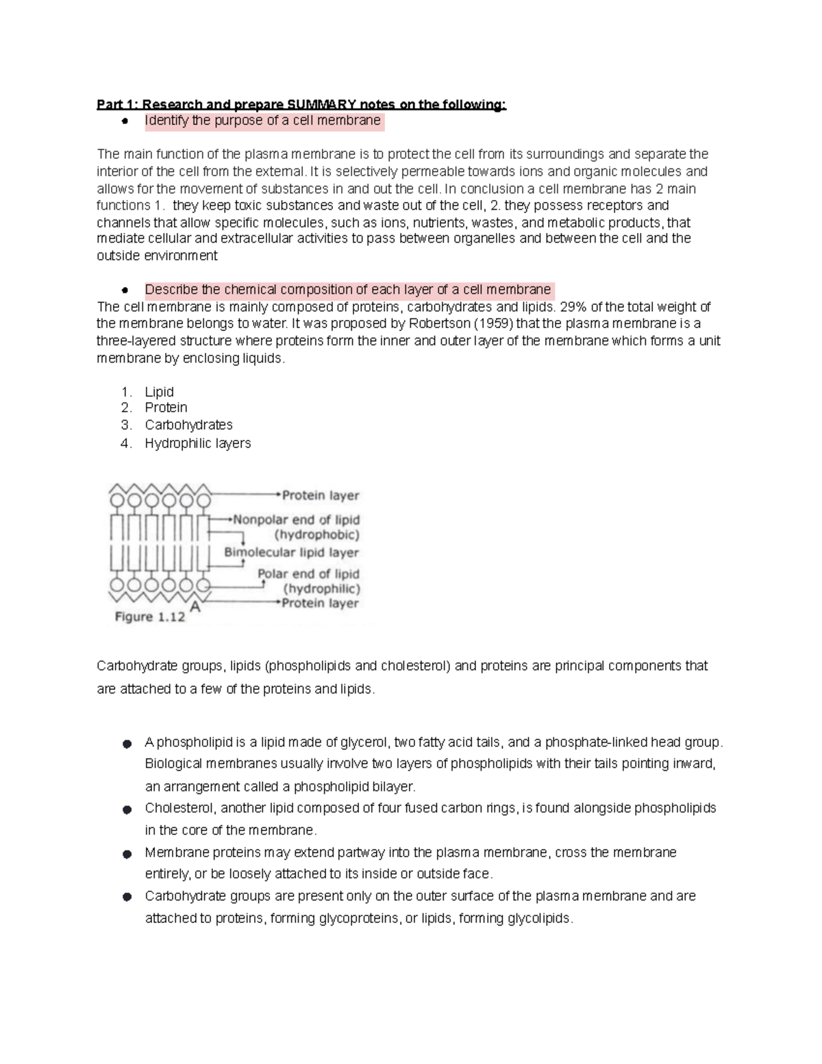 Science Depth Study Research - Studocu