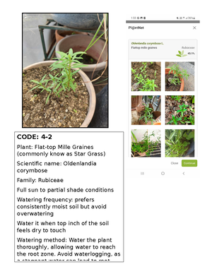 RPD-con-Reviewer - Partial denture - Supported by APPLEGATE ...