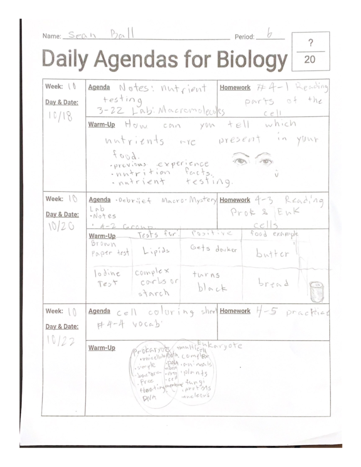 Daily Agendas for Biology - previous experience nutrition facts. v ...