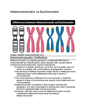 Col E1 Plasmid - notes - ColE1 Plasmid The name ColE1 stands for the ...