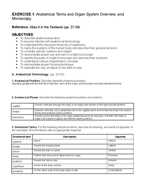 BOI review - Exam 1 Study Guide Chapter 1: Introduction to the Human ...