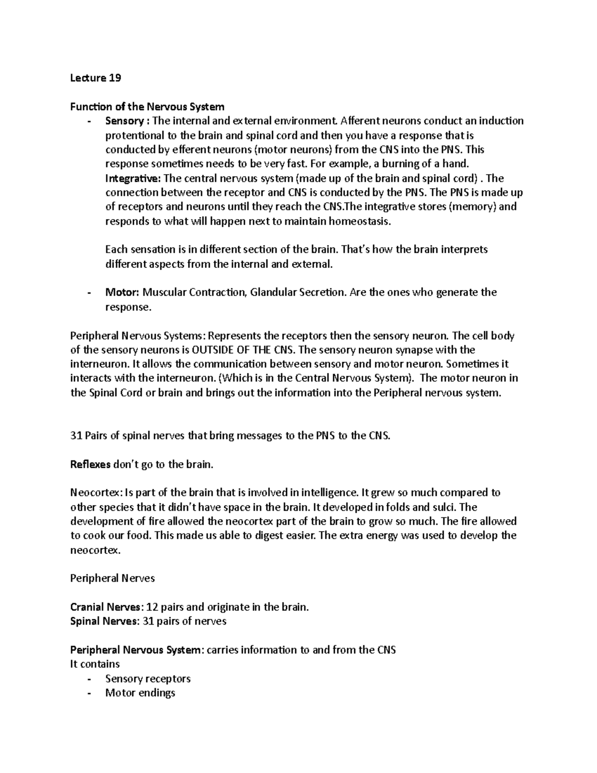 Lecture 19 - notes - Lecture 19 Function of the Nervous System ...