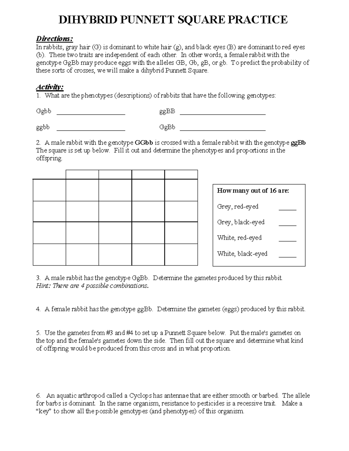Biology Punnett Square - Dihybrids part 1 - DIHYBRID PUNNETT SQUARE ...