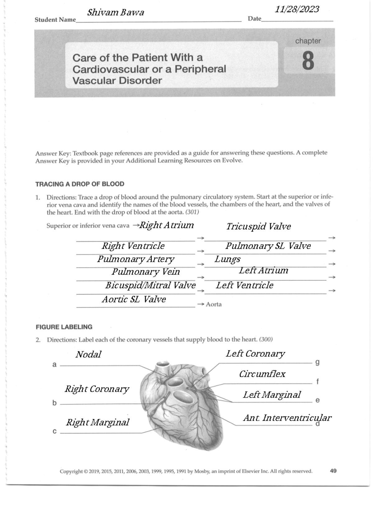 SG Ch 8 Blanks - Shivam Bawa 11/28/ Right Atrium Tricuspid Valve Right ...