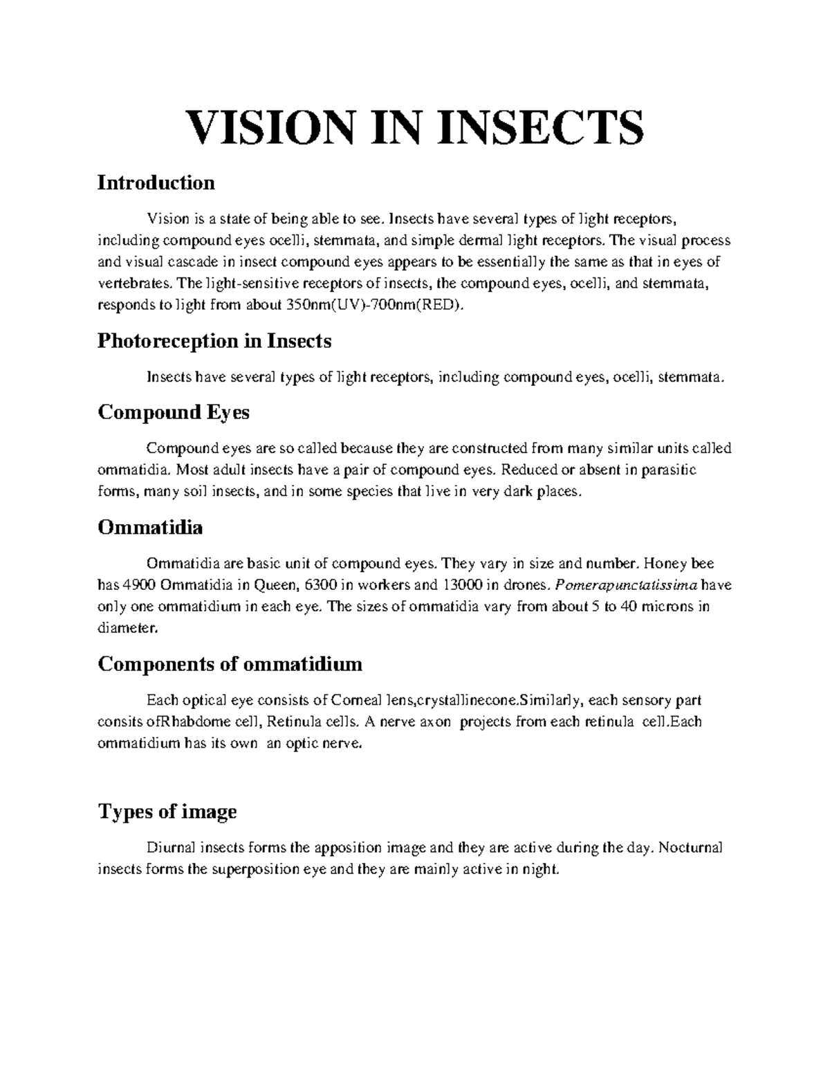 Vision IN Insect - Animal diversity - VISION IN INSECTS Introduction ...