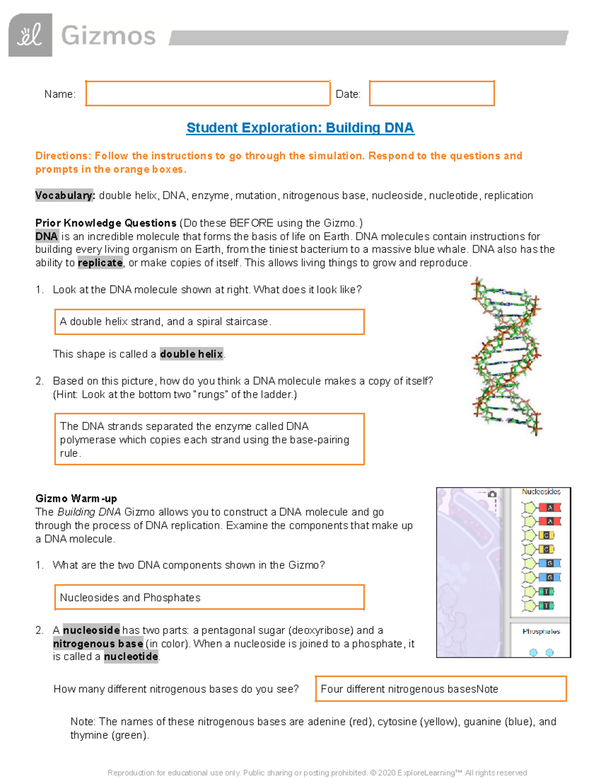 Student Exploration: Building DNA Gizmos - Name: Date: Student ...