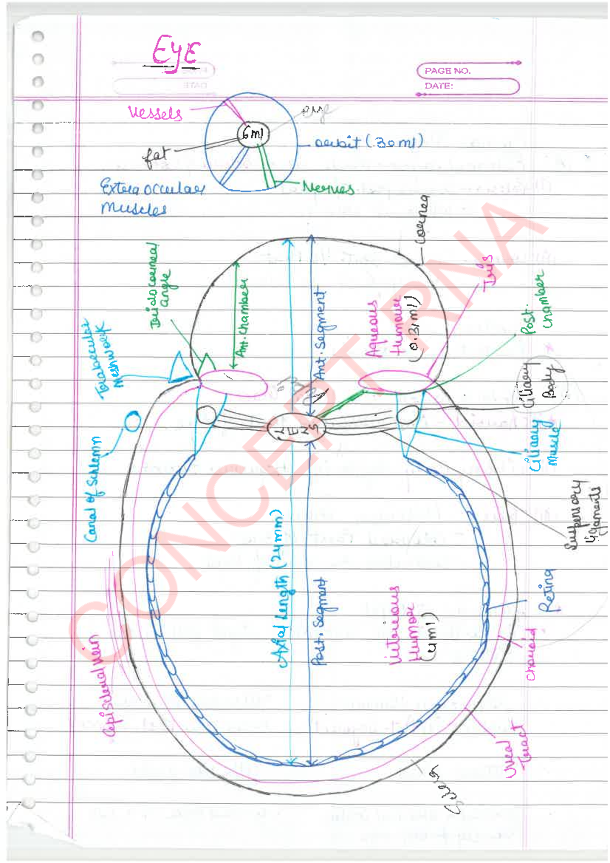 Eye And ENT - Protocol ent - or STATE PAGE NO. ETAC DATE: Eye has 3 ...