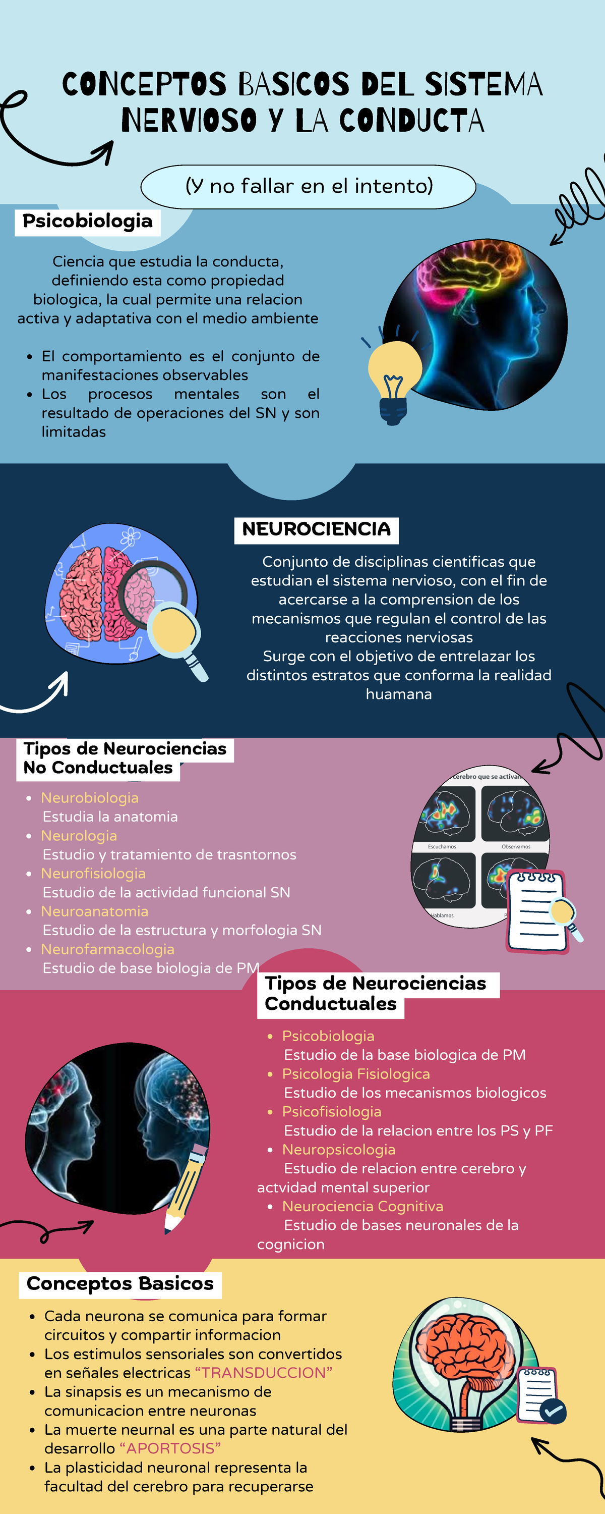 Conceptos Basicos del SN y la conducta - (Y no fallar en el intento) CONCEPTOS BASICOS DEL ...